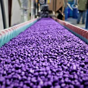 Services – Total Seed Production